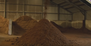 Buy Lithuanian Peat Moss - Peatman from UAB Linkona, Lithuania ...