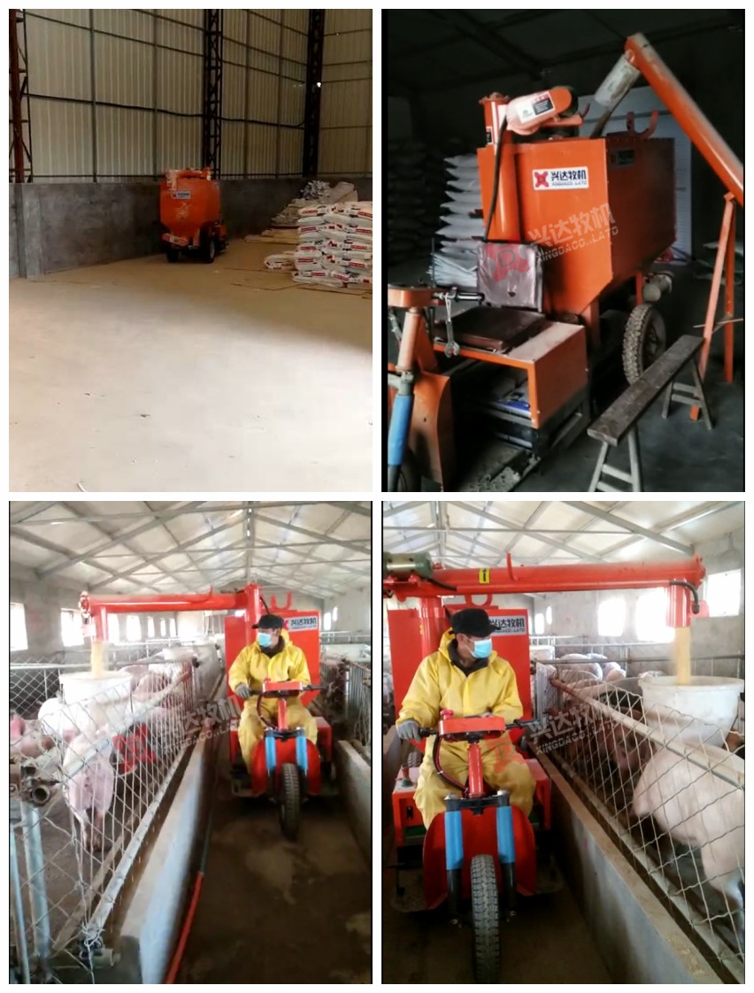Buy Pig Feeder Car By Battery Automatic Pig Feeding System Pig Farming ...