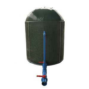 Buy Pvc Biogas Fermentation Digester Mini Home Biogas And Marsh Gas Bag ...
