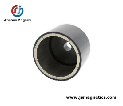 Buy Rare Earth Magnets And Magnetic Assemblies For Motors Neodymium Rotor Magnetic Assembly from ...