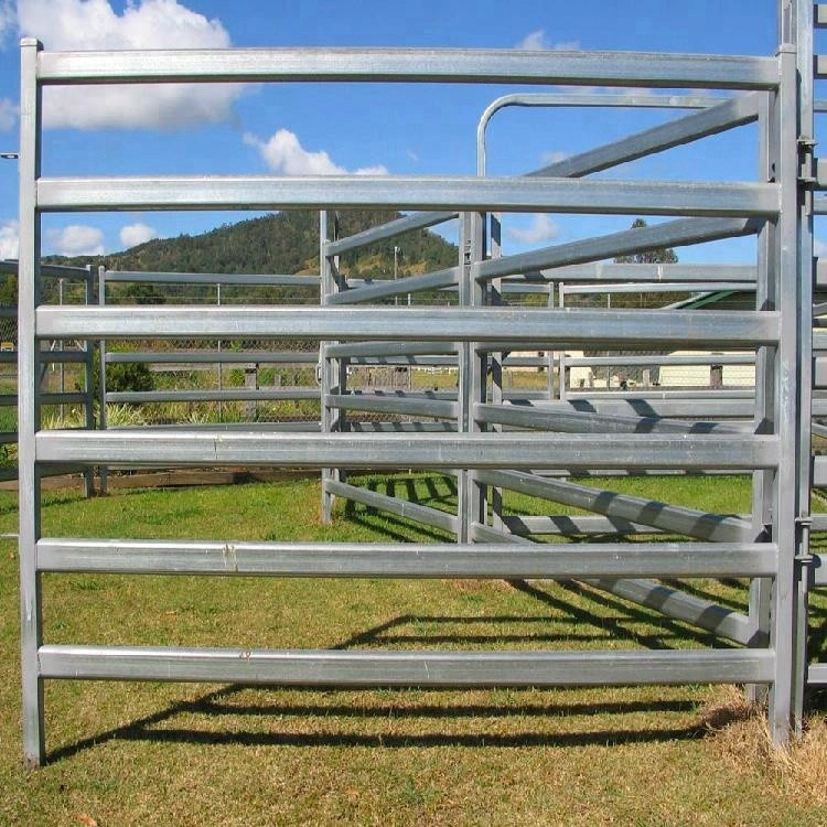 Buy Durable Square Tube Style Cattle Panels Frame 32mm, 40mm, 42mm from ...