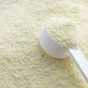 Buy Yogurt Powder,frozen Yogurt Powder,instant Yogurt Powder from ...