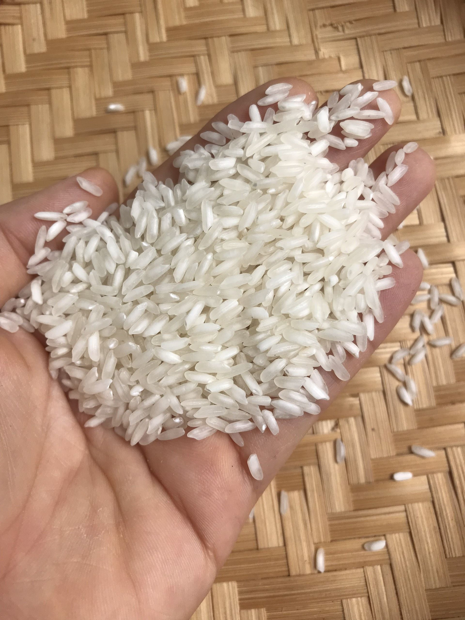 Buy Pure Long Grain White Rice 5% 25% Broken From Vietnam Factory 504 ...
