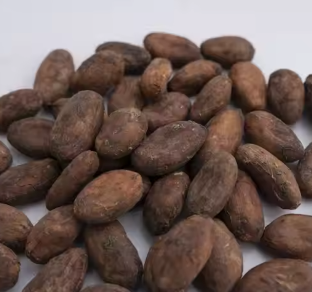 Buy Cocoa Beans from FREEFORM CREATIVE SOLUTION INC, Philippines ...