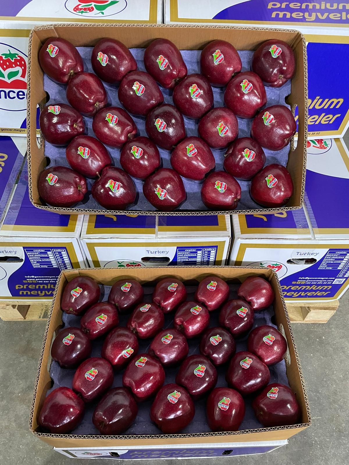 Buy Red Delicious Apple from Froots trading, Republic of Türkiye ...