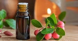 Buy Gandhpura Oil (wintergreen) from L'Amar Natural Product Pvt Ltd ...