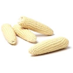 Buy Non-gmo White Corn Grain – Safe And Natural For Food & Feed Use ...
