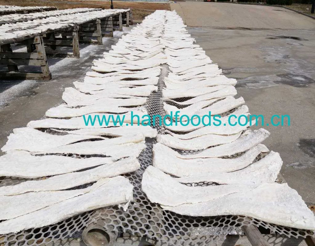Buy Dry Salted Cod Fillets from Hand Foods (Dalian) Co., Ltd., China ...