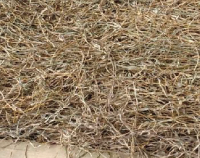 Buy Dried Taro Leaves - A Versatile Herb from Storehouse Trading Pty ...