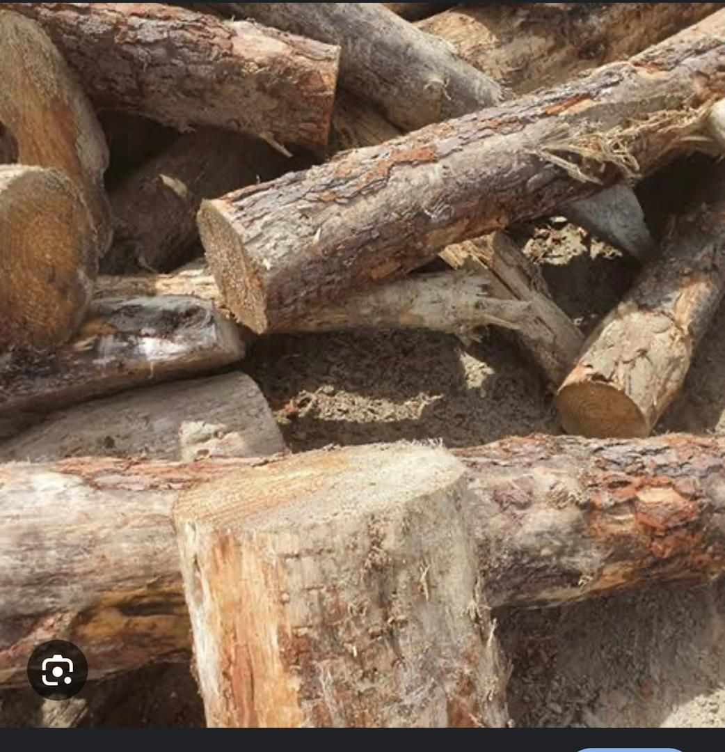 Buy Timbers from ARISTOKRAT FARMS IJOKO, Nigeria | Tradewheel.com