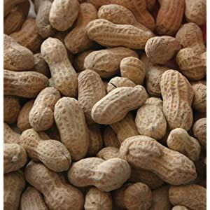 Buy 100% Natural Raw Peanuts from AGRO APEX GENERAL TRADE PTY LTD ...