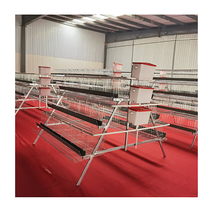 Buy A Type Layer Cage Frame Layer Chicken Cage System Price In Pakistan ...