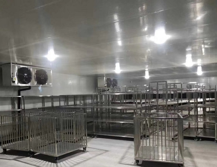 Buy Air Blast Freezer Commercial Cold Storage Chill Room For ...