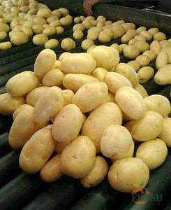 Buy Fresh Organic Potato From Pakistan from FRUITI FRESH (PRIVATE ...