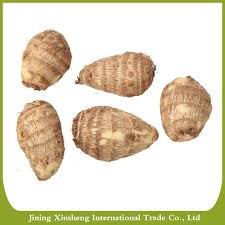 Buy Grade A Fresh Taro Quality Taro/coco Yams,/cocoyams/fresh Taro 40g ...