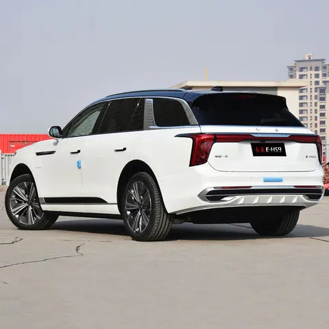 Buy Hongqi H9 Hong Qi E-hs9 2021 2022 2023 Seven Seats In Stock New ...