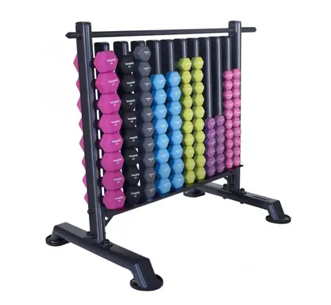 Buy Professional Gym Equipment Vertical Black Fitness Dumbbell Rack Set ...
