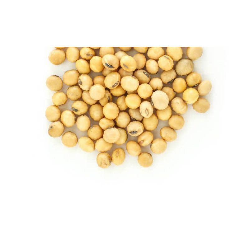 Buy High Yield Soybeans For Export Trade from Afrivet Trading Services ...