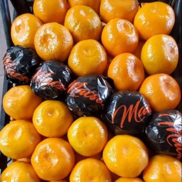Buy Mandarin Quality Fresh Mandarin From Turkey Fast Shipping from ...