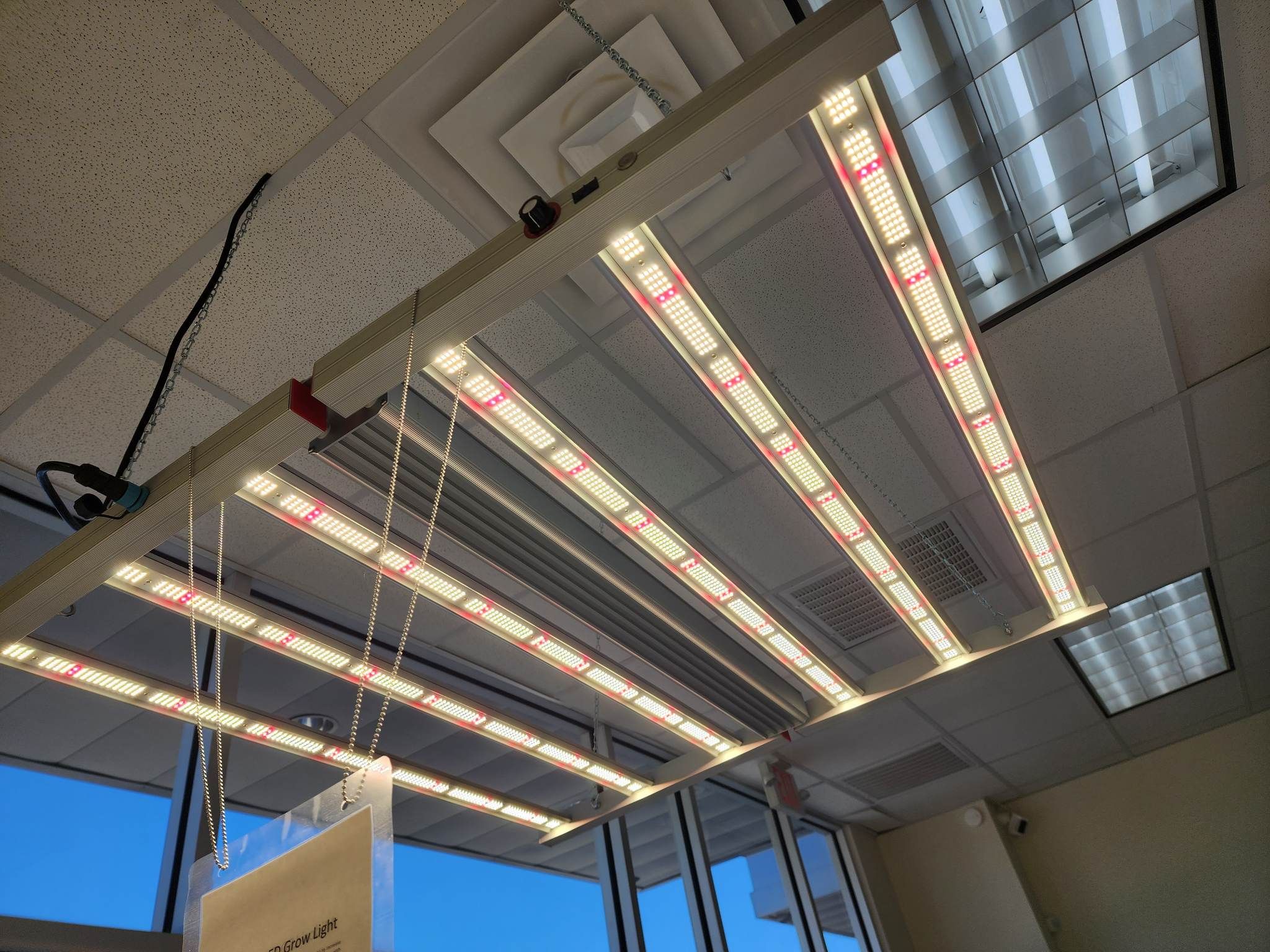 Buy Commercial Type Led Grow Lights from Texas Hydroponics Inc., USA ...