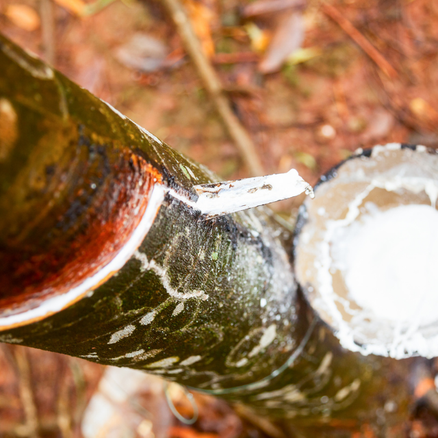 Buy 2025 Top Manufacturer's Natural Latex Rubber 60% Drc from Ngoc Chau ...