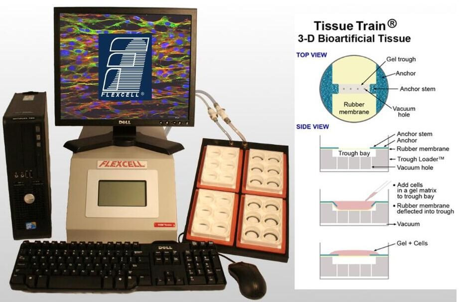Buy Flexcell Cell Stretching Device from BIO EXCELLENCE INTERNATIONAL ...