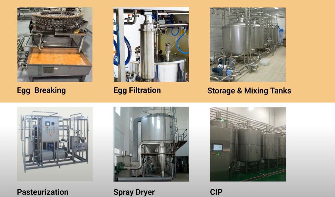 Buy Egg Powder Processing Machinery from GENEXTECH PROJECTS LLP, India ...