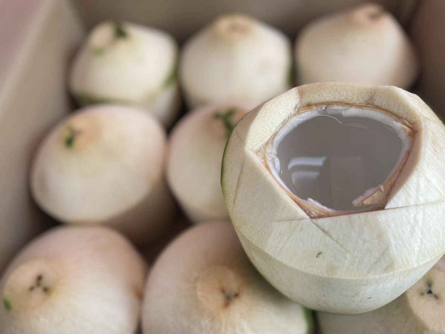 Buy Fresh Young Thai Coconut Nam Hom In Diamond Shape from FRESHIE FOOD ...