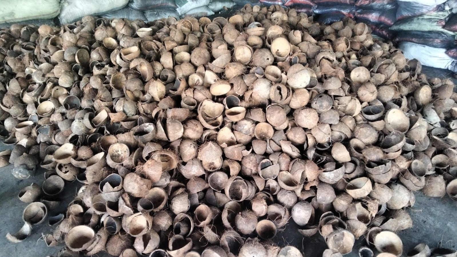 Buy Raw Coconut Shell from PT SURYATAMA, Indonesia | Tradewheel.com