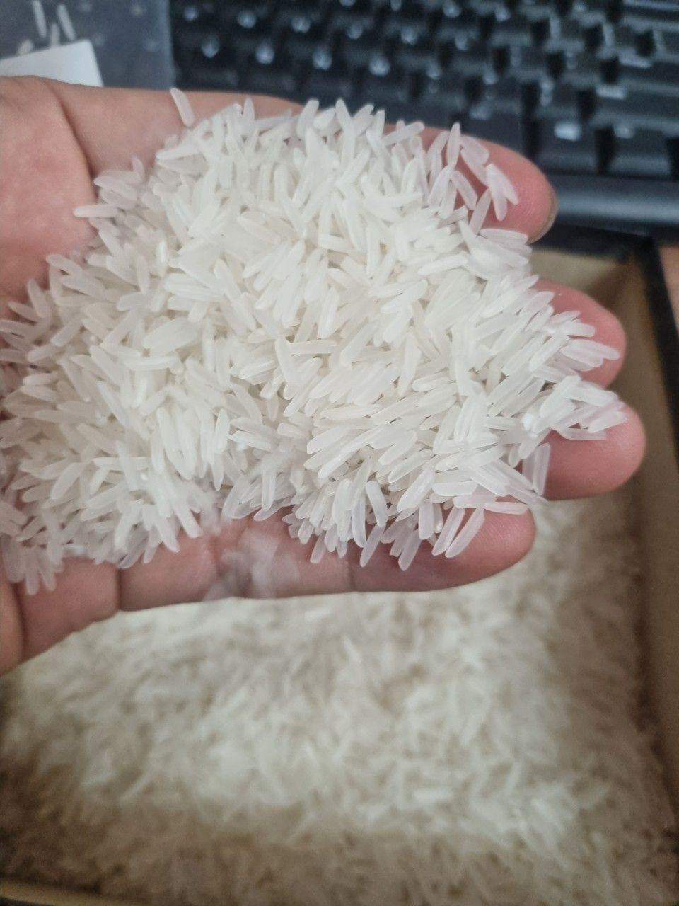 Buy St25 Rice from CHEN HAO CO., LTD, Vietnam | Tradewheel.com