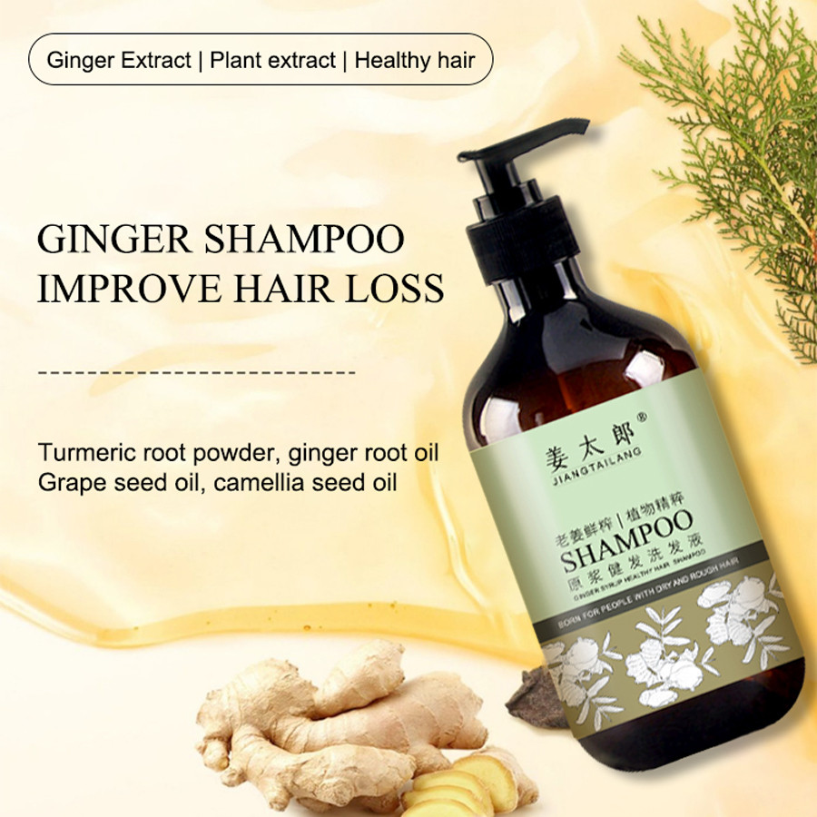 Buy Anti Hair Loss Oil Control Bio Ginger Shampo Ginger Lemon Fragrance ...