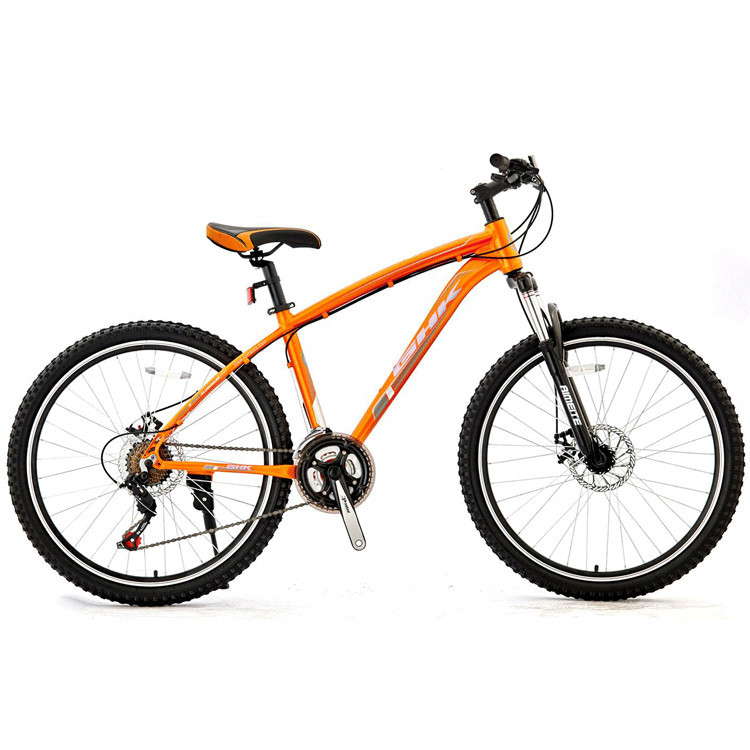 Buy Bicystar Made Alloy Mountain Bicycles/29 Inch Bicycle Mountain Bike ...