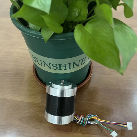 Buy Brushless Motor Hm5665b3 Customizable 2000 /4000 /8000 Rpm High ...