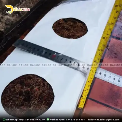 Buy Coco Peat Grow Bags Slabs For Garden Planters Greenhouses And ...