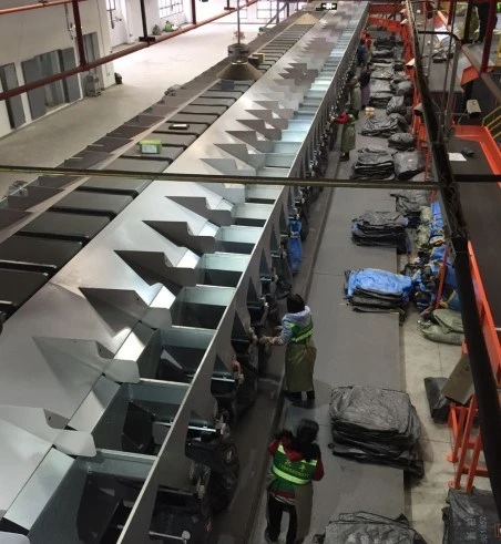 Buy Double Ring Sorting Machinery Belt Conveyor Machine For Sorting ...