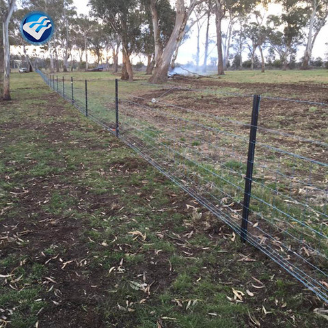 Buy Galvanized Chicken Wire Mesh Fence/cattle Fence Wire Export To ...