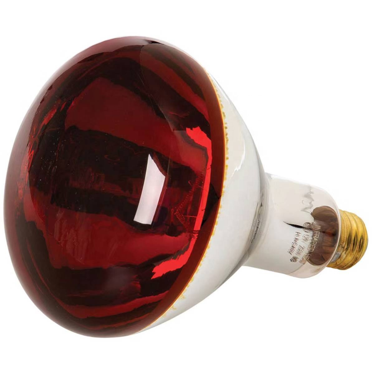 Buy Halogen Infrared Heat Warm White Light Bulb Lamp For Food Warming ...