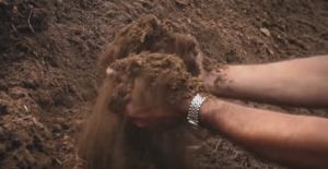 Buy Lithuanian Peat Moss - Peatman from UAB Linkona, Lithuania ...