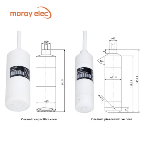 Buy Modbus Ip68 Ceramic Capacitive Submersible Liquid Tank Water Level ...