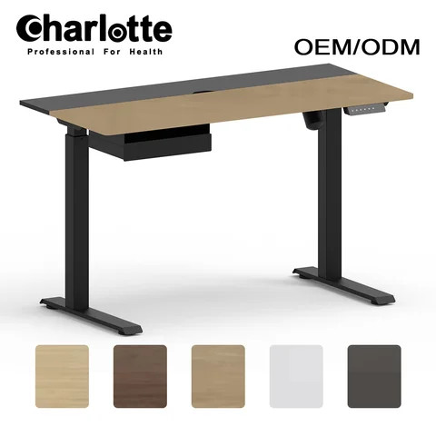 Buy Modern Dual Motor Standing Desk Iron Steel Frame Foldable Tabletop ...