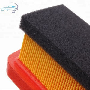 Buy Orginal Best Quality Air Filter Intake Pneumatic Air Filter For C ...