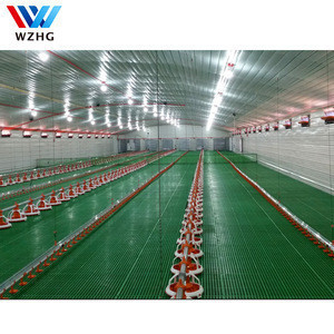 Buy Poultry Chain Feeder System For Henhouse from Hebei Weizhengheng ...
