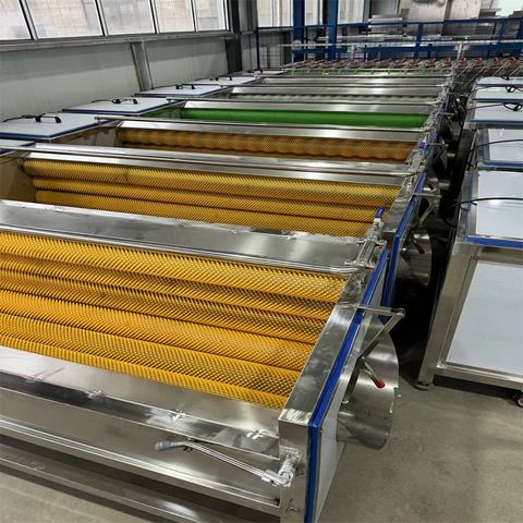 Buy Taro Onion Cleaning Peeling Machine With Hairbrush from Zhucheng ...