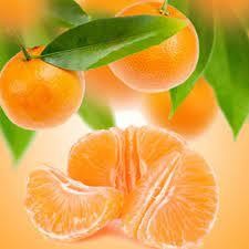 Buy Top Quality Fresh Mandarin Egypt Origin Tangerine Wholesale Sweet ...