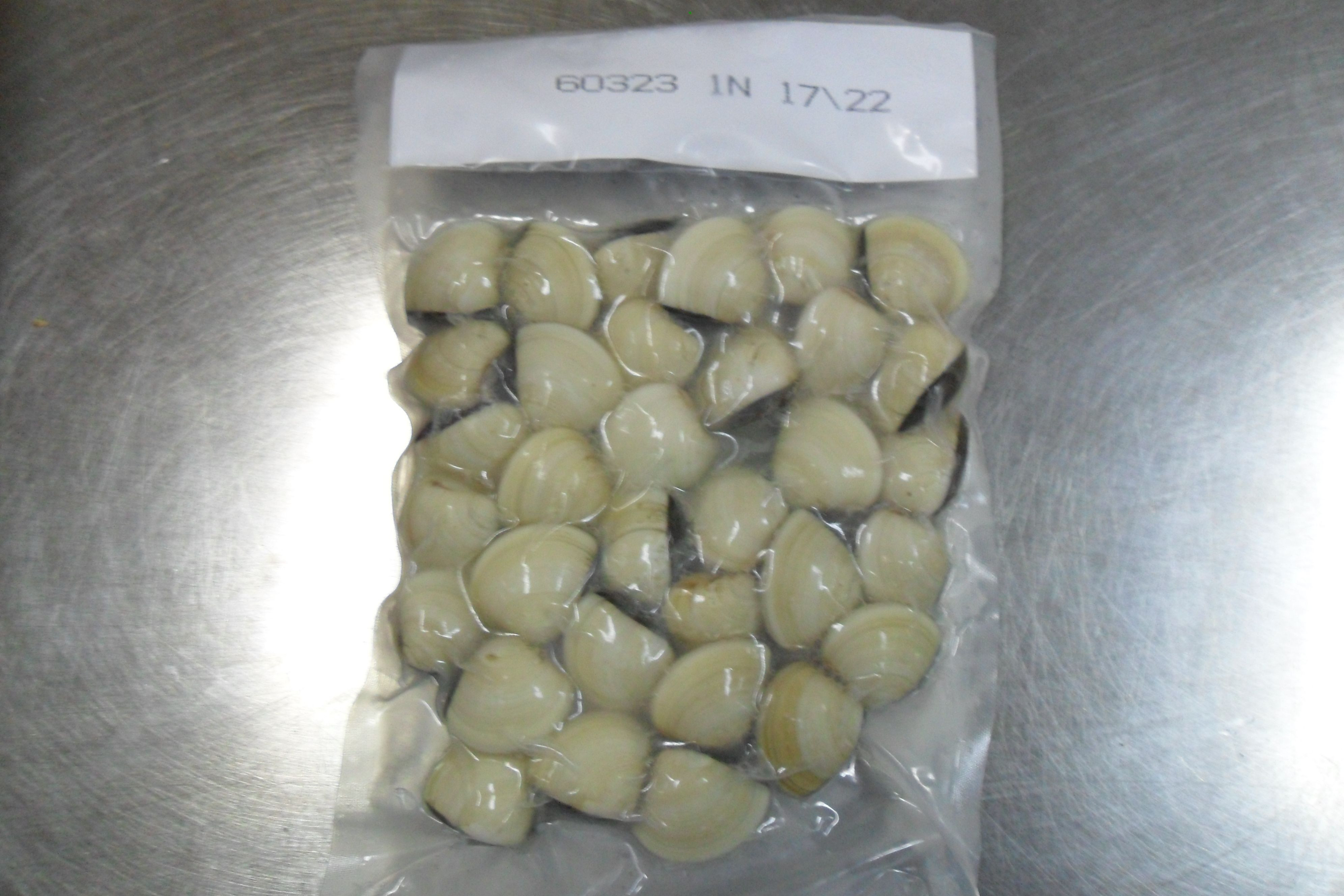 Buy Frozen Cooked White Clam Whole Shell from Ben Tre Seafood Joint ...