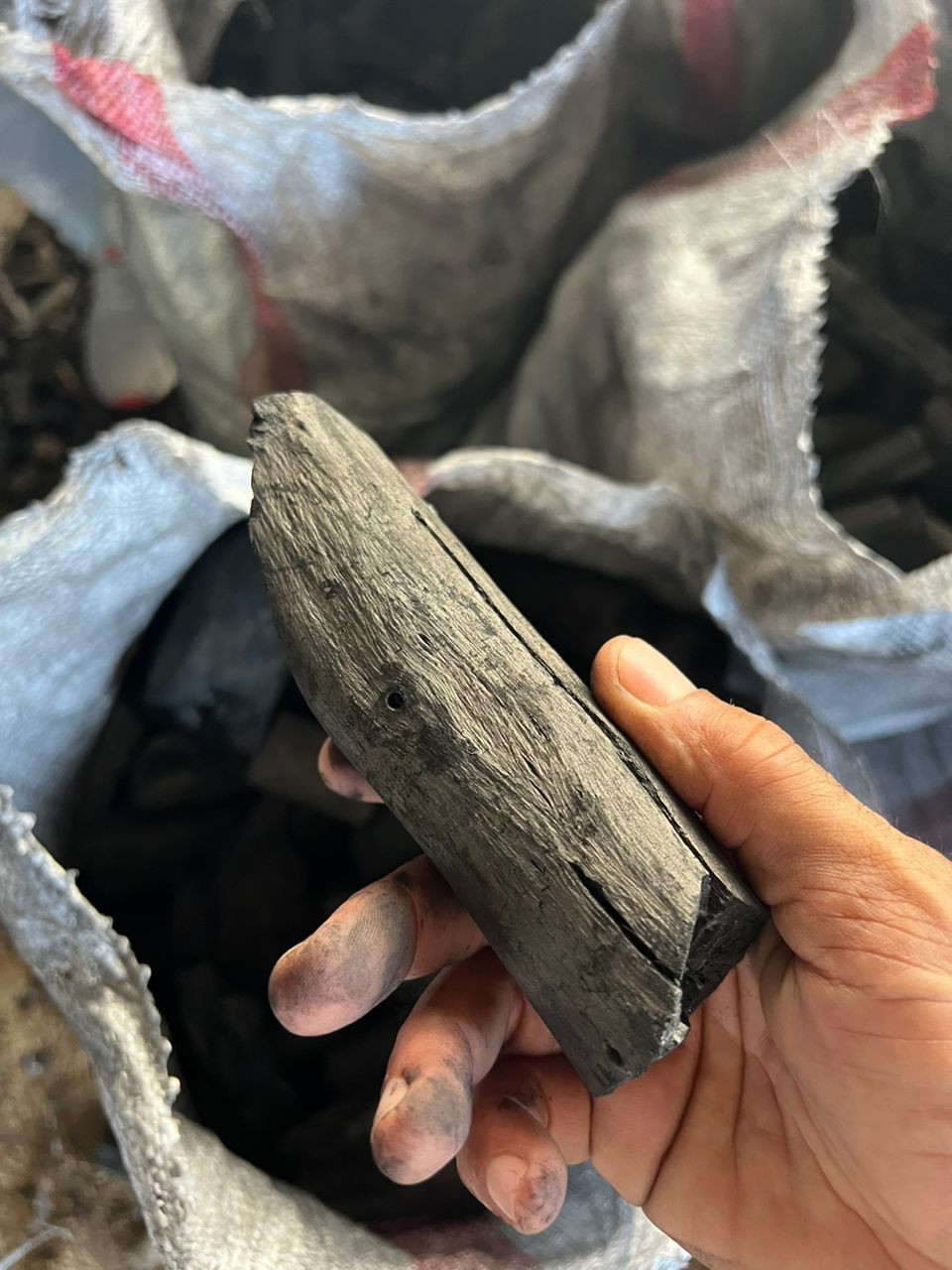 Buy Marabu Charcoal from PM Trading Corporation, Canada | Tradewheel.com