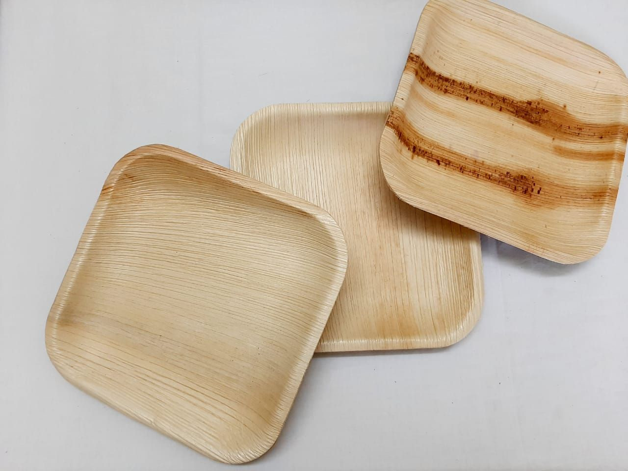 Buy Eco Friendly from EVERGREEN ECO CONCEPTS, India | Tradewheel.com