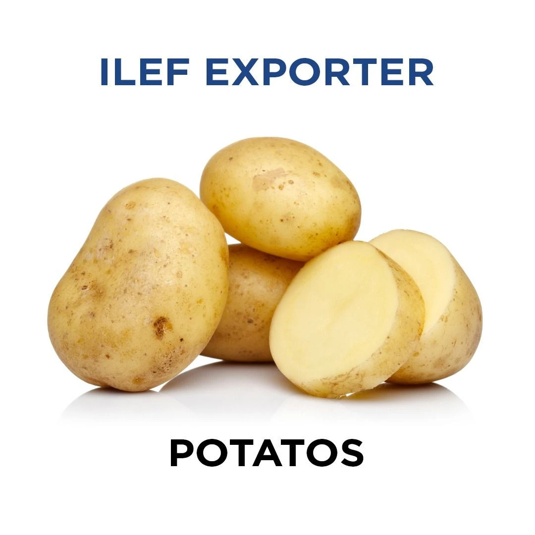 Buy Fresh Potatoes, Fresh Vegetables from ILEF, Pakistan | Tradewheel.com
