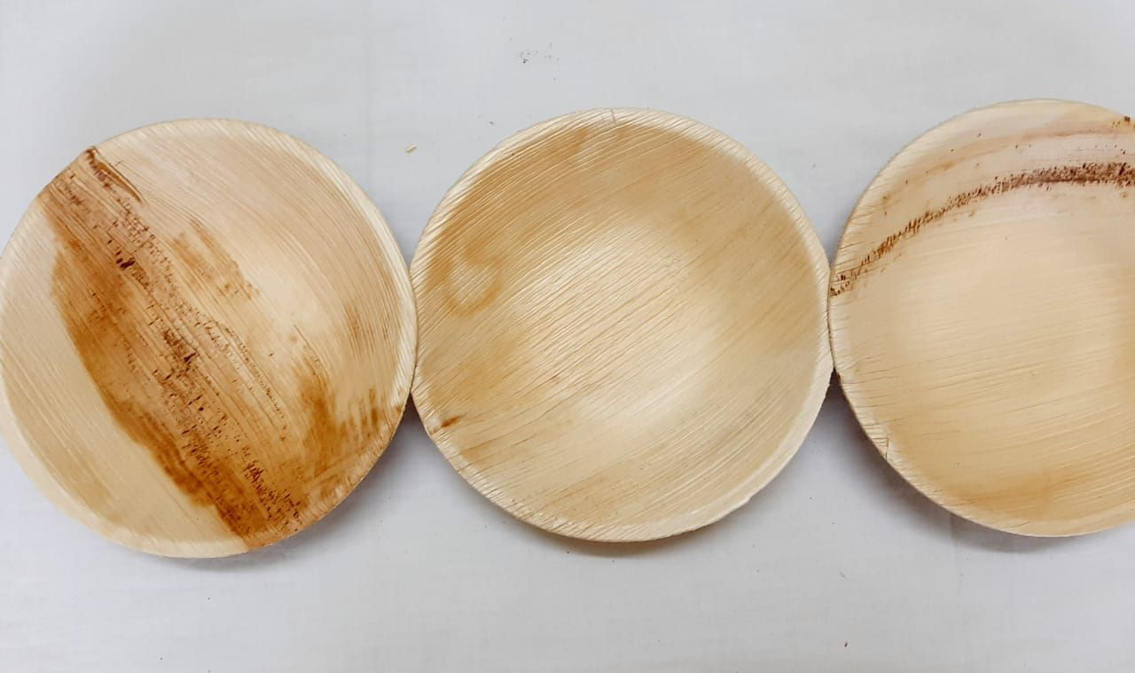 Buy Eco Friendly from EVERGREEN ECO CONCEPTS, India | Tradewheel.com