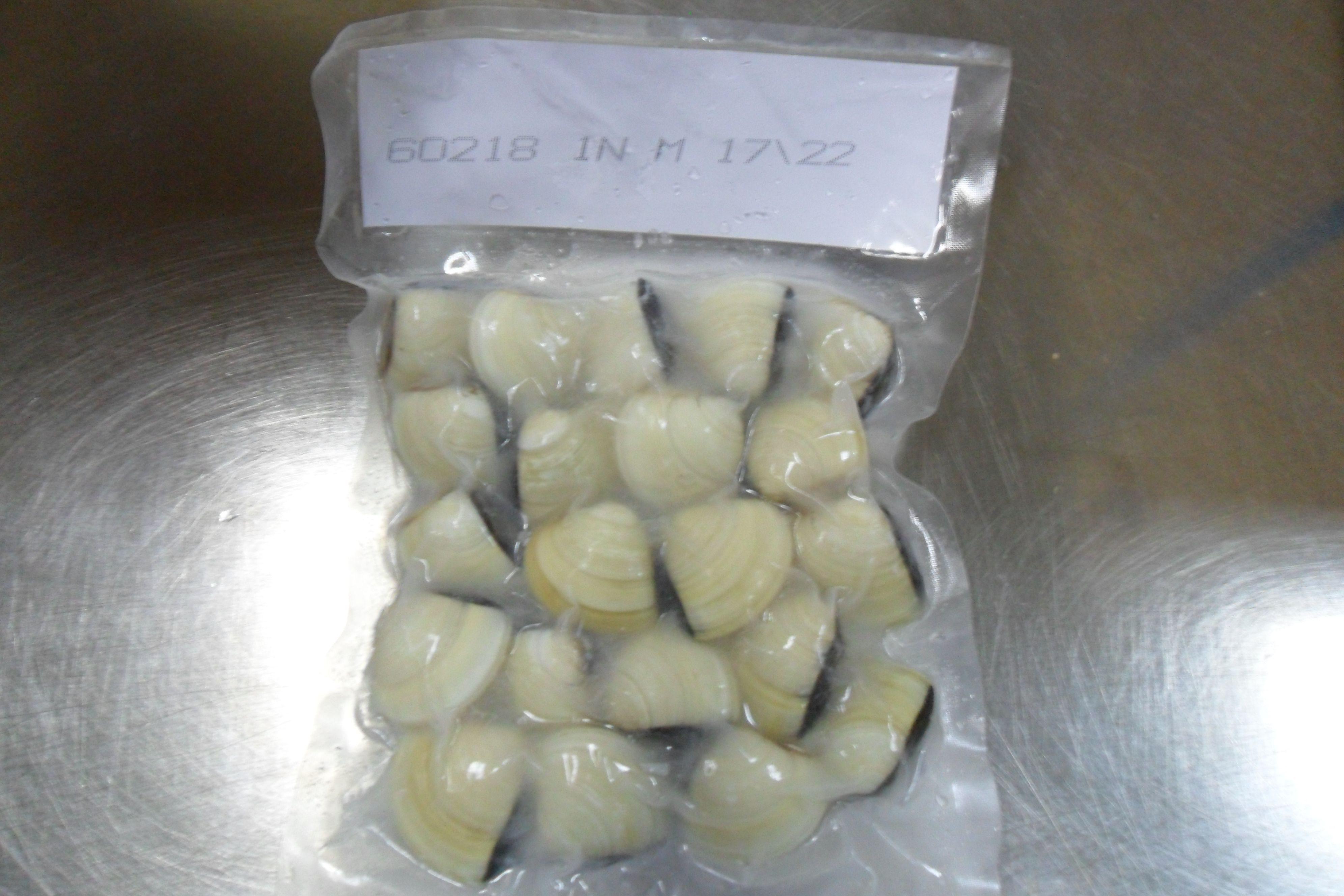 Buy Frozen Cooked White Clam Whole Shell from Ben Tre Seafood Joint ...